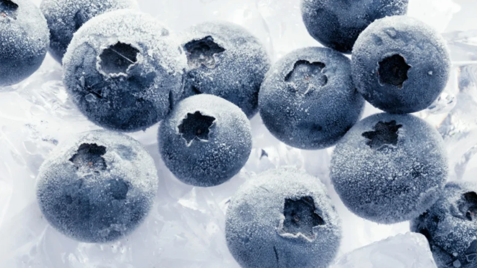 Refrigerated Transportation of Frozen Blueberries from Washington